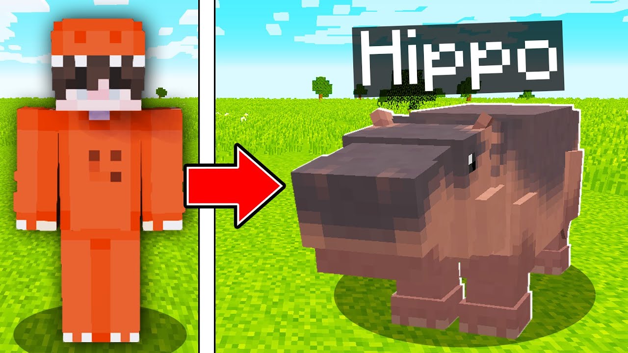 I Pranked My Friend as a Hippo in Minecraft! - YouTube