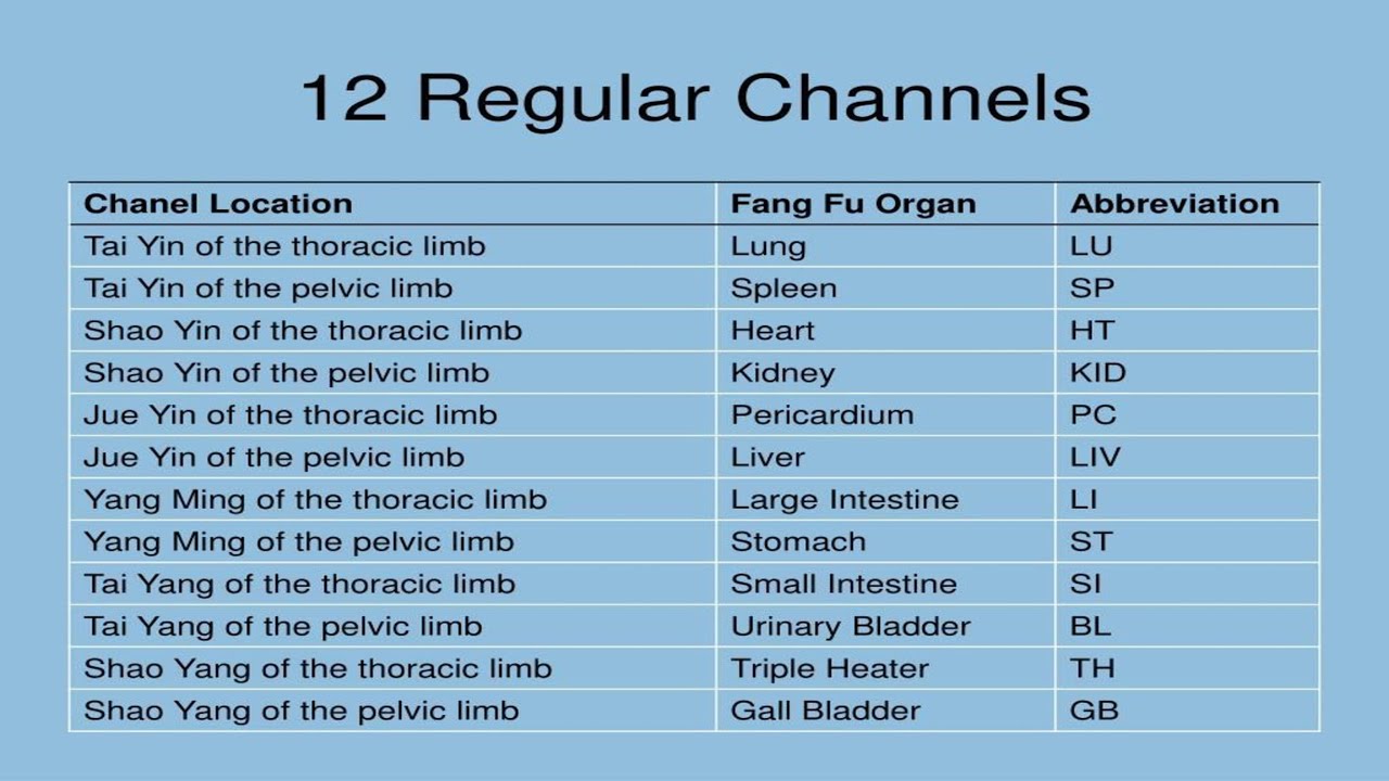 SYNDROME/PATTERN DIFFERENTIATION 08: Diagnosis According to 12 Regular ...