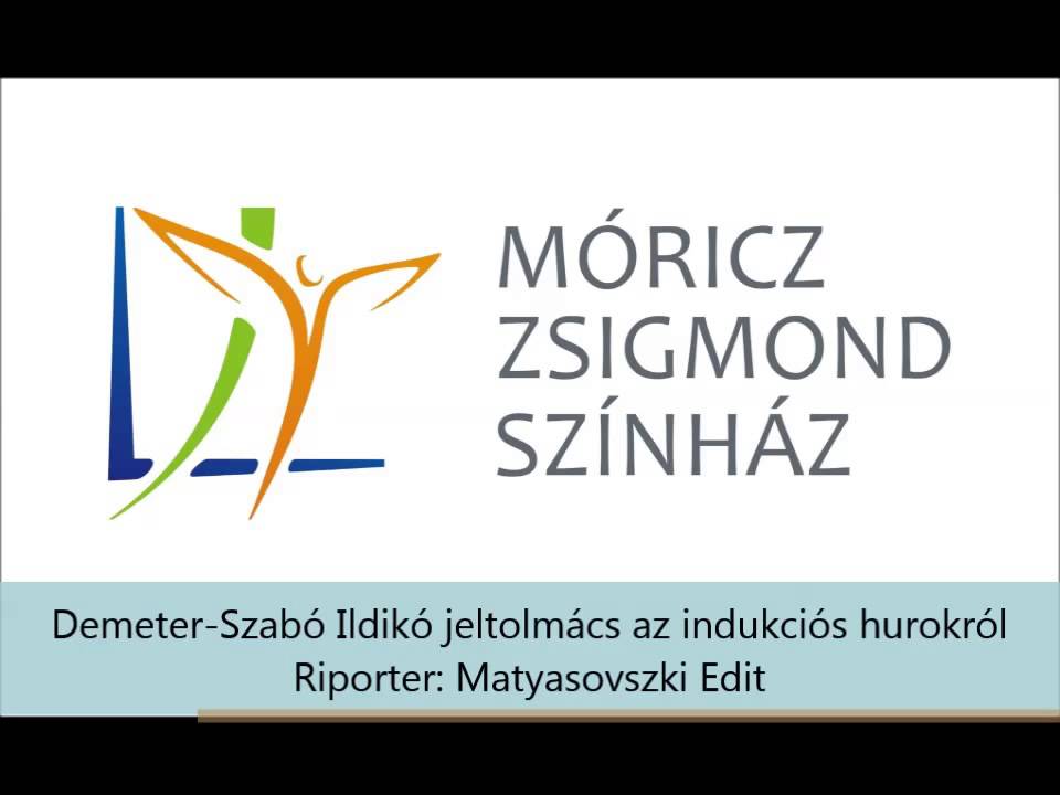 Demeter-Szabó Ildikó jeltolmács az indukciós hurokról - YouTube