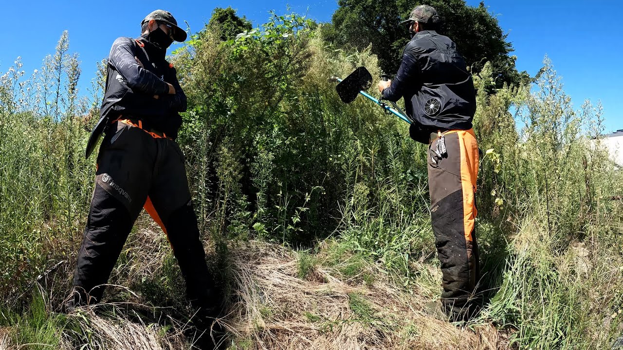 SHREDDING OVERGROWN grass in the WASABI field [Japan] - YouTube