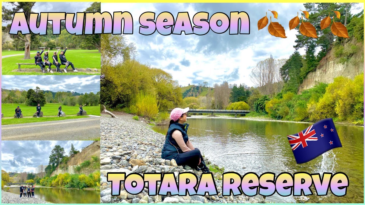 PICNIC AT TOTARA RESERVE | 1000 YEARS OLD TOTARA TREE | EL AKIRA - YouTube