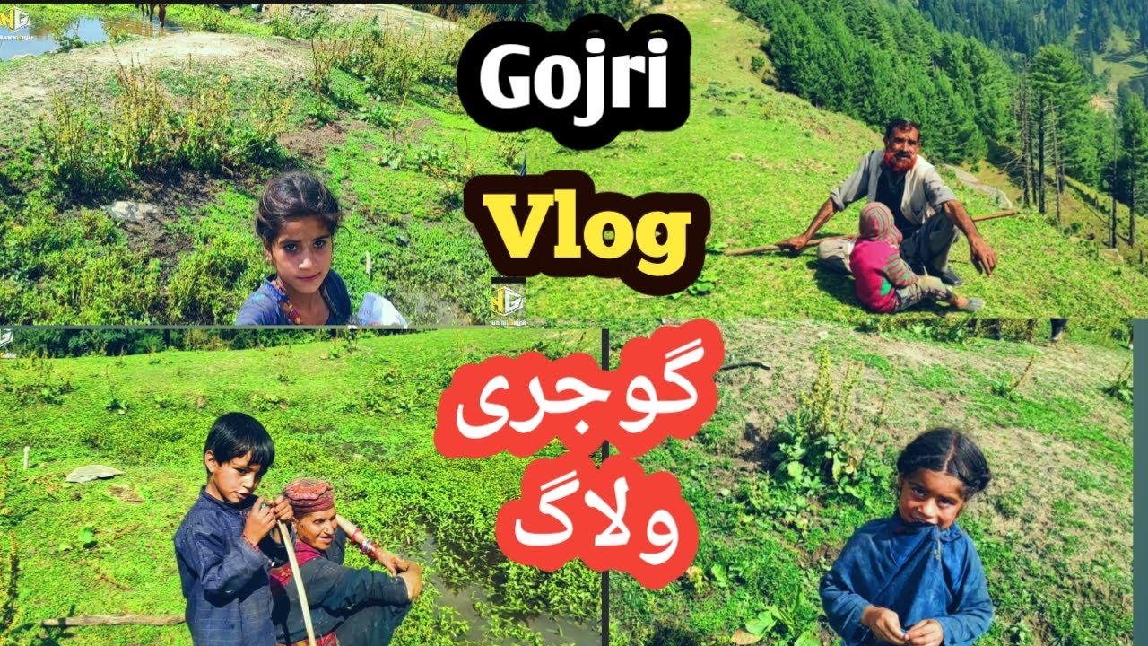 Gojri Vlog | Gujjar Naal Gup Shup | New Gojri Vlog Video | # ...