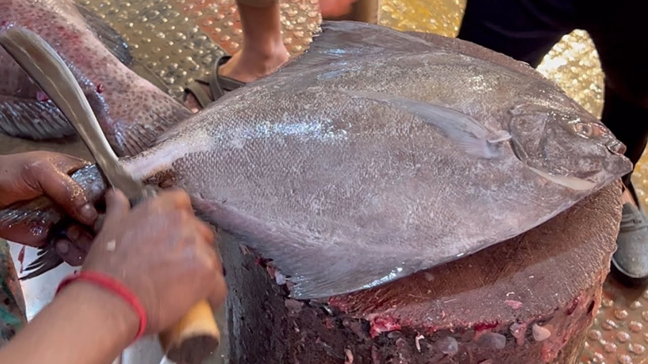Big Black Pomfret Fish Cutting Skills In Fish Market | Fish Cutting ...