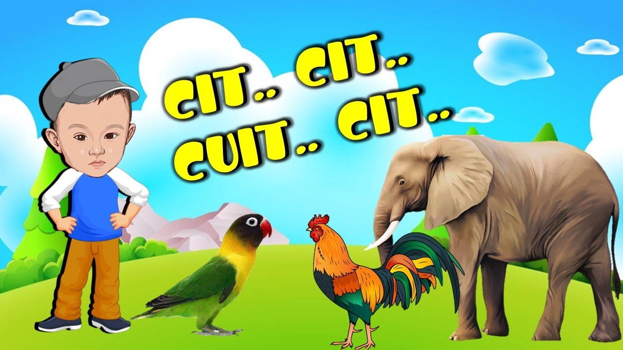 CIT CIT CUIT CIT BEBEK BERENANG || BABY SYAQI - YouTube