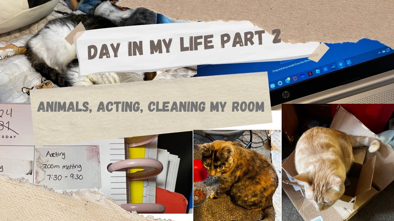 Day in my life Part 2! - YouTube