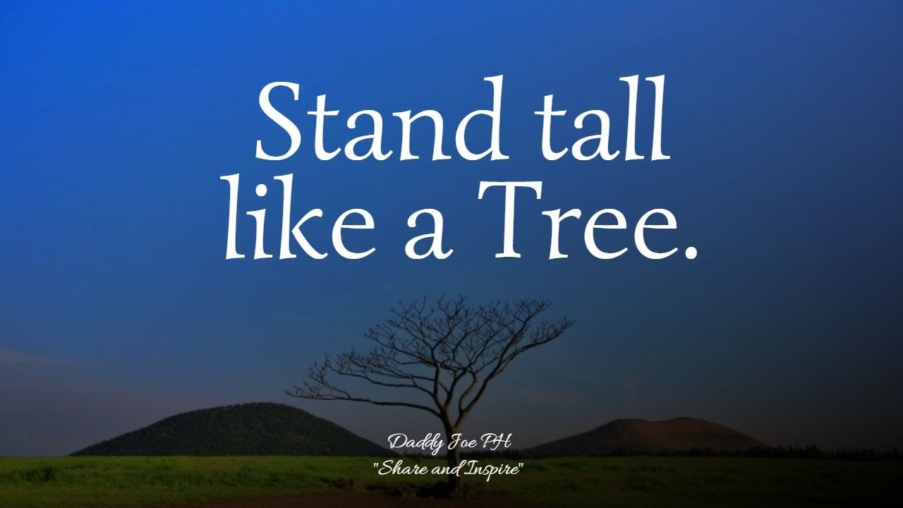 Stand tall like a Tree.Friday LS - YouTube