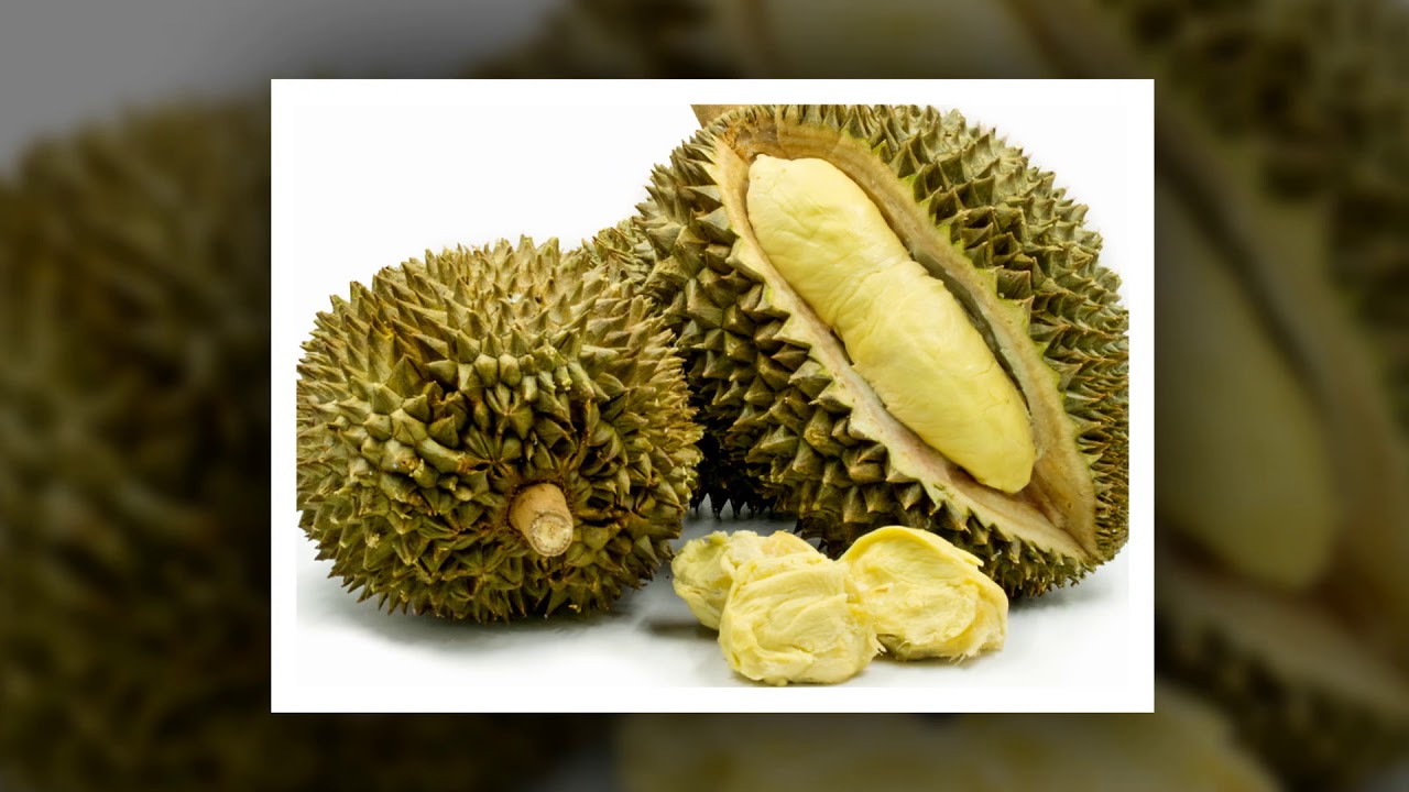 Durian Boba Smoothie - YouTube