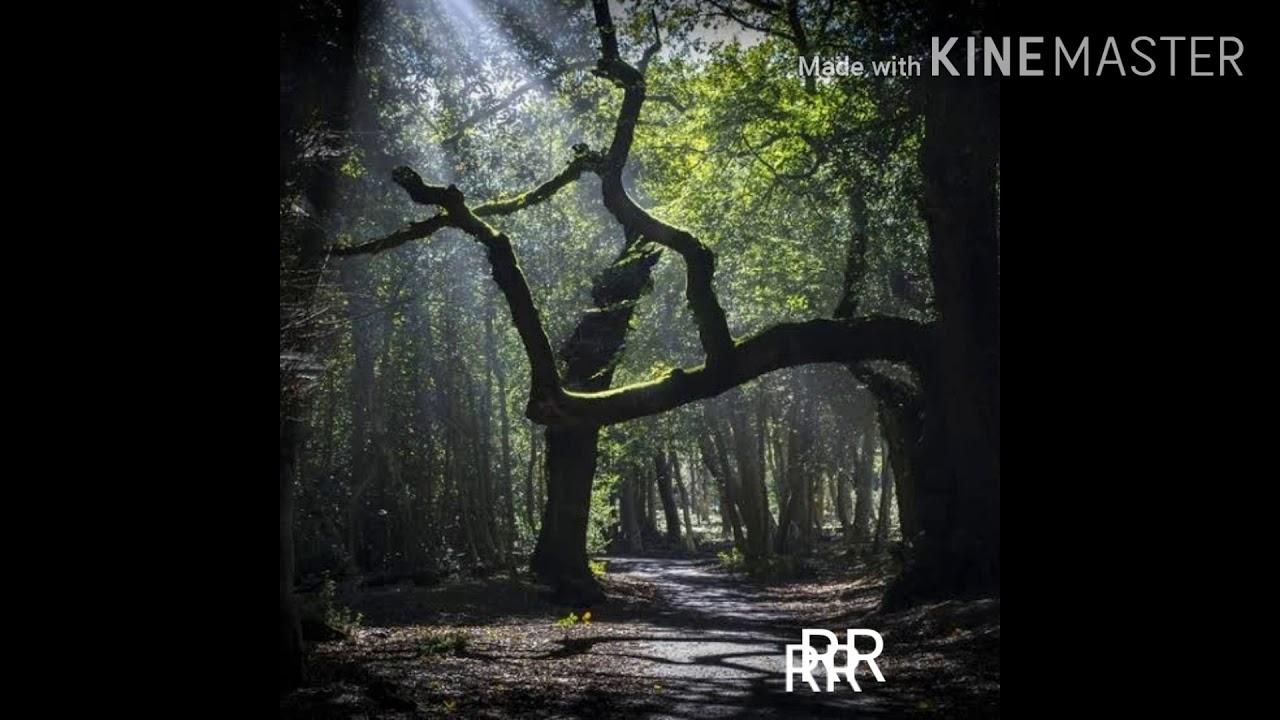 2020 best nature whatsapp status - YouTube