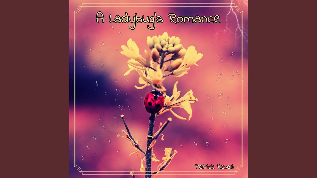 A Ladybug's Romance - YouTube