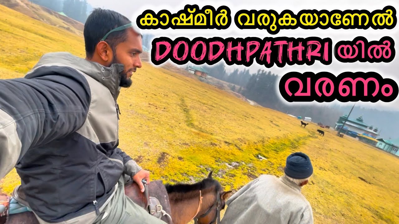 Doodhpathri Travel Guide: How to Explore this Beautiful Valley ...