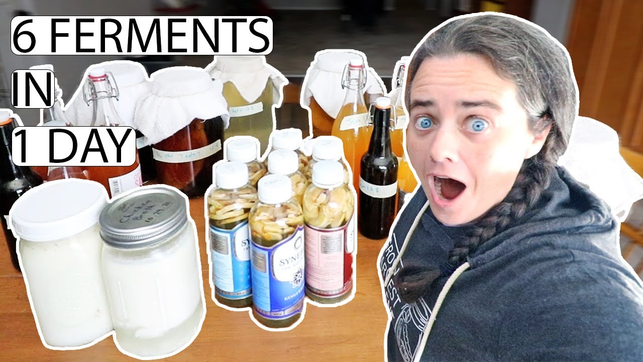 6 Ferments In A Day! With Second Fermentations and Tons Of Ferment Tips ...