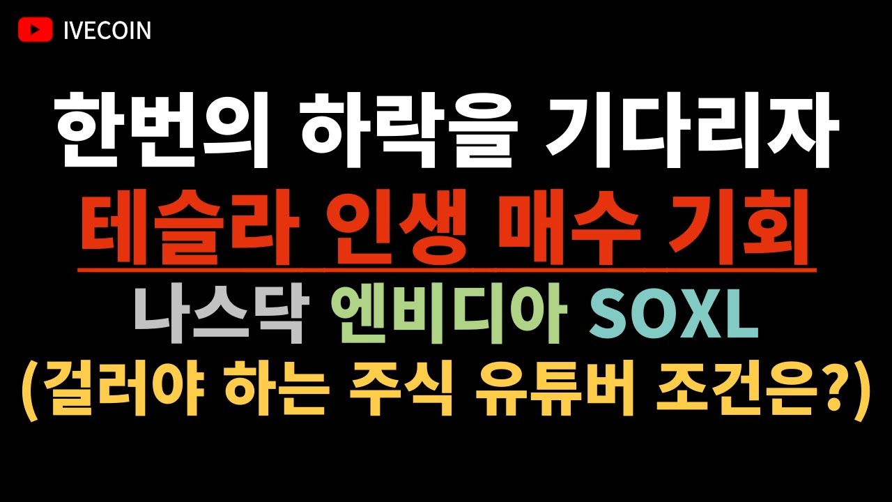 한번의 하락을 기다리자! 테슬라 인생 매수 기회 나스닥 엔비디아 SOXL(걸러야 하는 주식 유튜버 조건은?) - YouTube