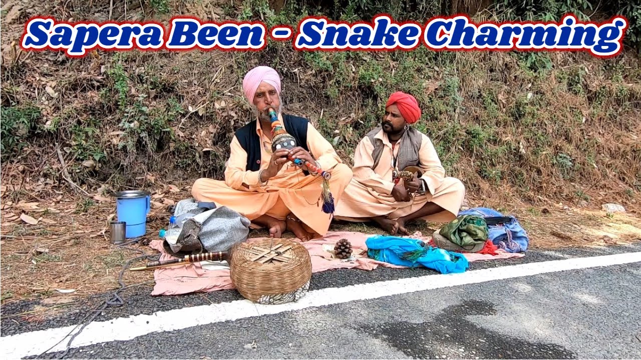 Sapera Been - Snake Charming || Himachal Pradesh, India - YouTube