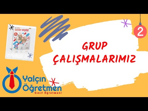 2. Sınıf Hayat Bilgisi | Grup Çalışması