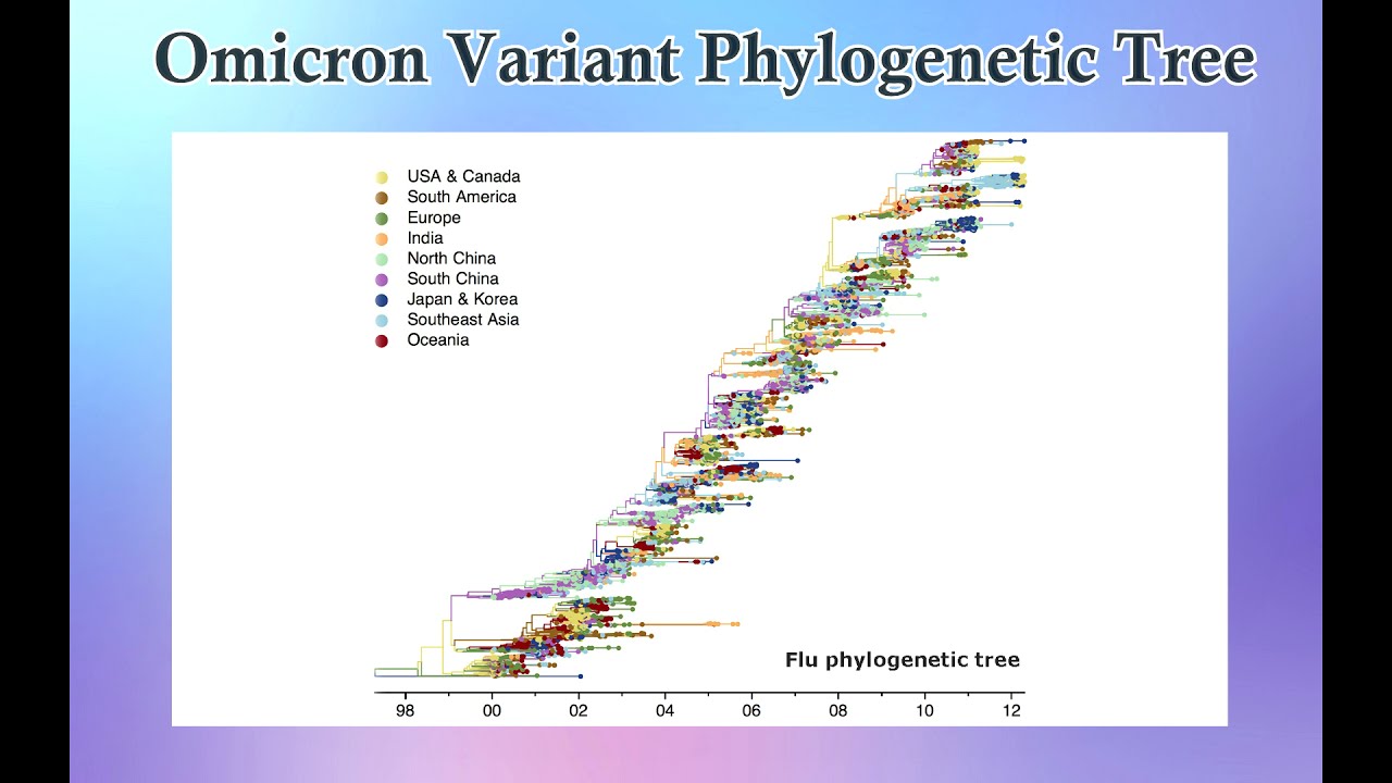Omicron Variant Phylogenetic Tree - YouTube