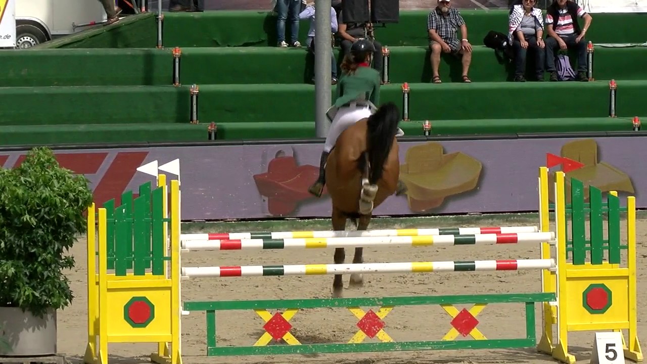 Fest der Pferde 2017 Prf16 13 244 Lisa Seidel Corvington S - YouTube