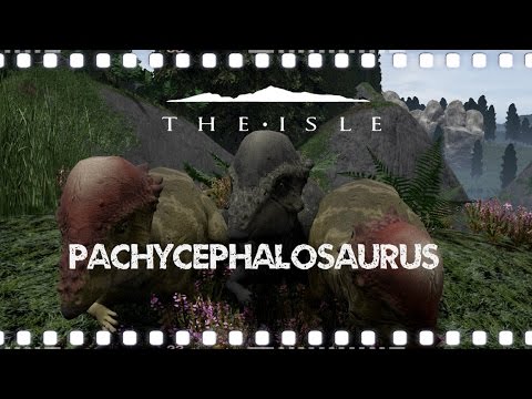 PACHY GAMEPLAY [Part 1] -The Isle Episode 34 - YouTube
