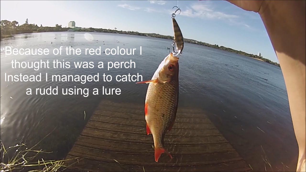 NZ Basic_Fishing | Freshwater | Lake Pupuke - YouTube