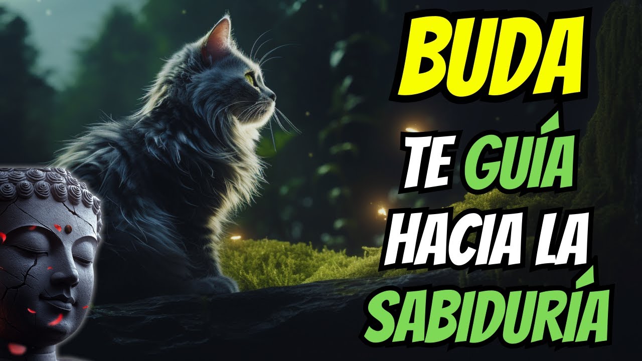 El Gato Sabio: La Enseñanza Milenaria de Buda que Todos Ignoran y ...
