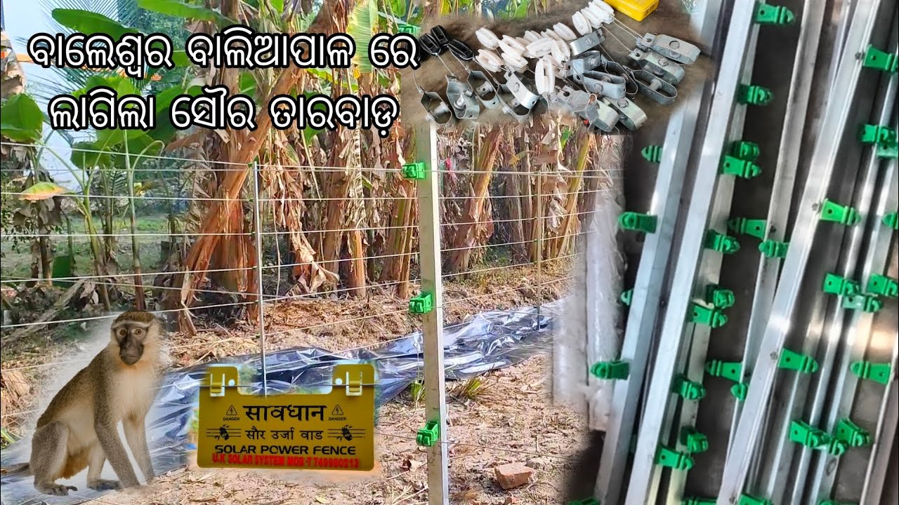 solar fencing installation baliapal Balesore contact📞 7749980213 - YouTube