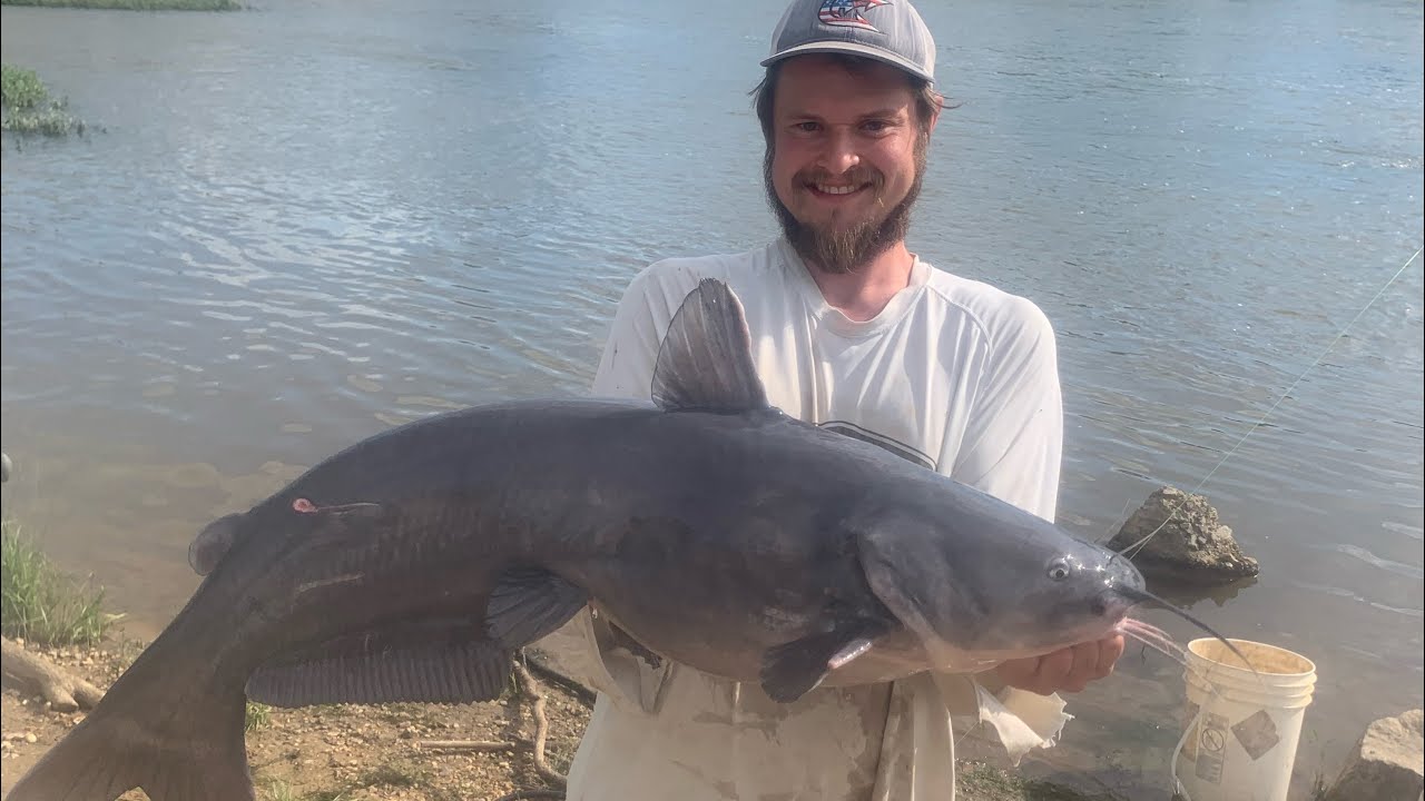 Bank Fishing on the Dan River (BIG FISH and Updates) - YouTube