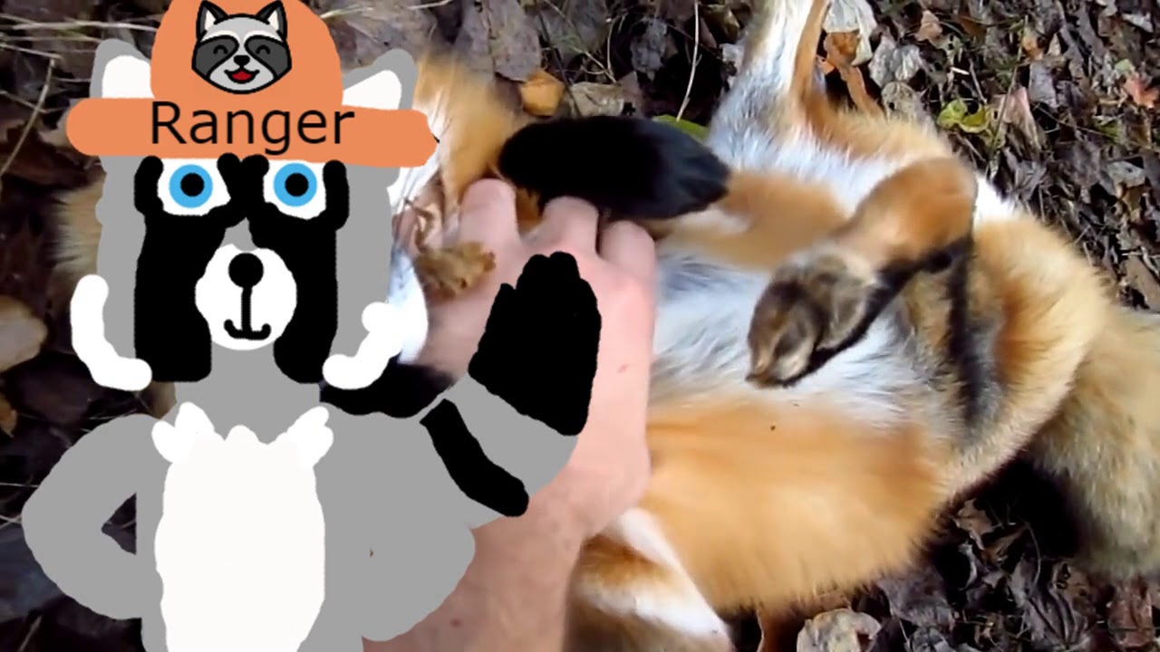 Ranger Ricky- Foxes cut off version - YouTube