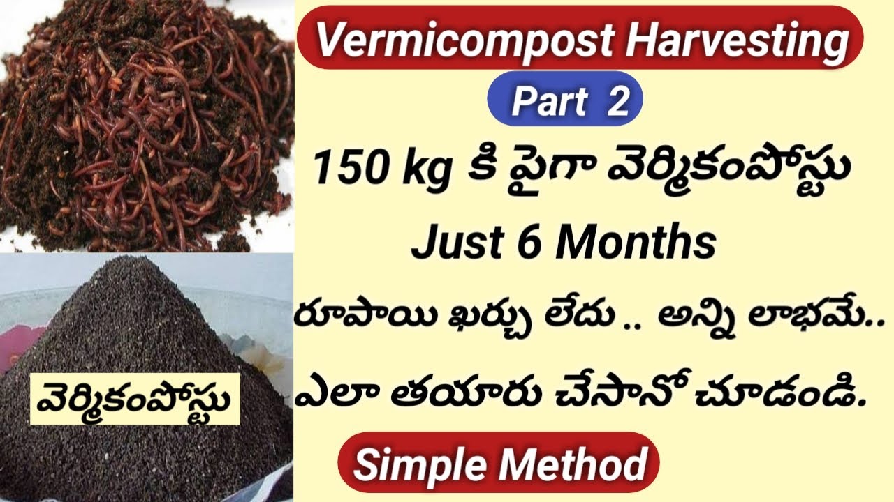 How to Make Vermicompost at Home/Very Simple and Easy/Vermicompost ...
