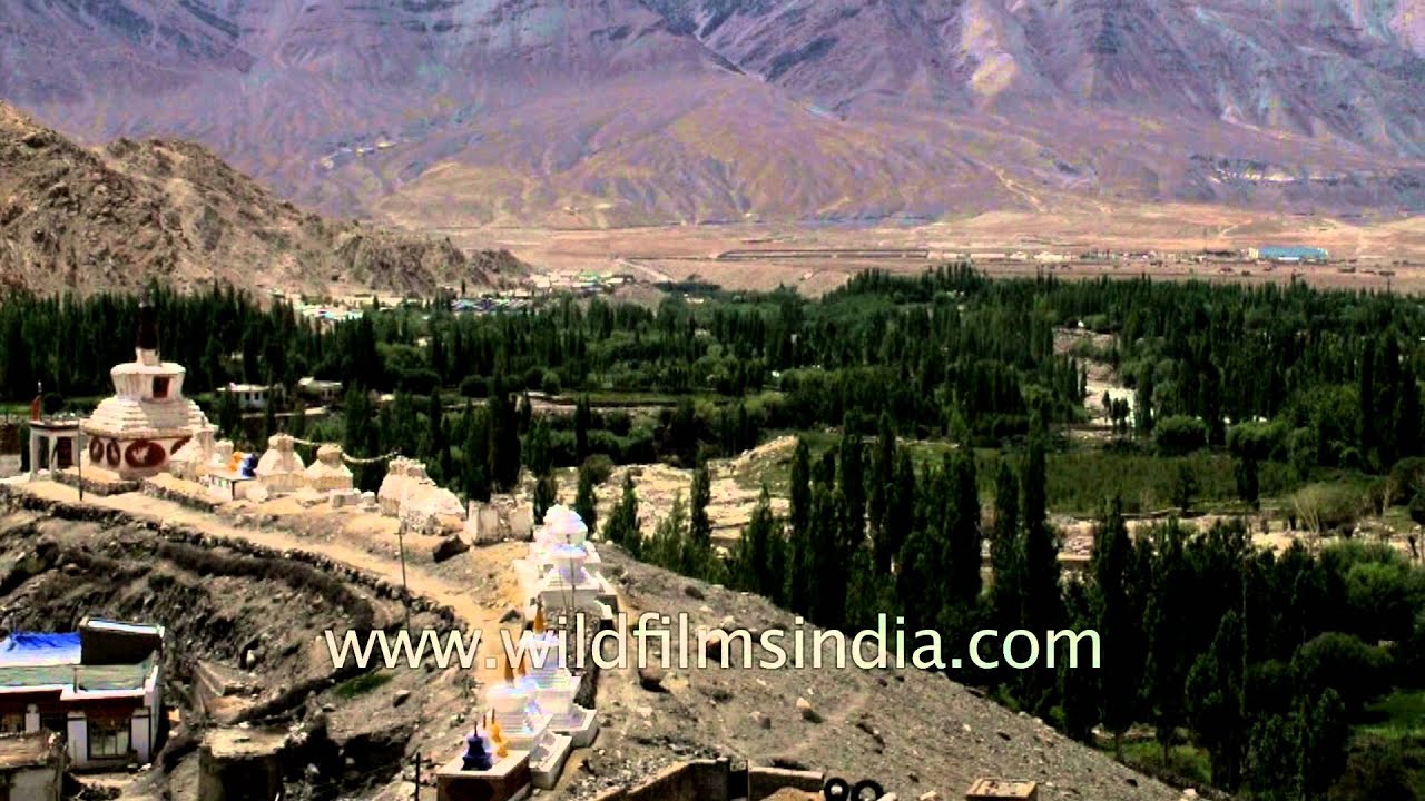 Phyang Monastery in Ladakh : old vestige of Buddhism in India - YouTube