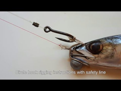 Predapro Live / Dead bait trolling Circle hook nose bridle mackerel ...