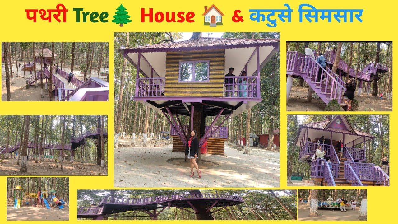 Pathri Tree House & कटुसे सिमसार । Beautiful place in Morang.Best Visit ...