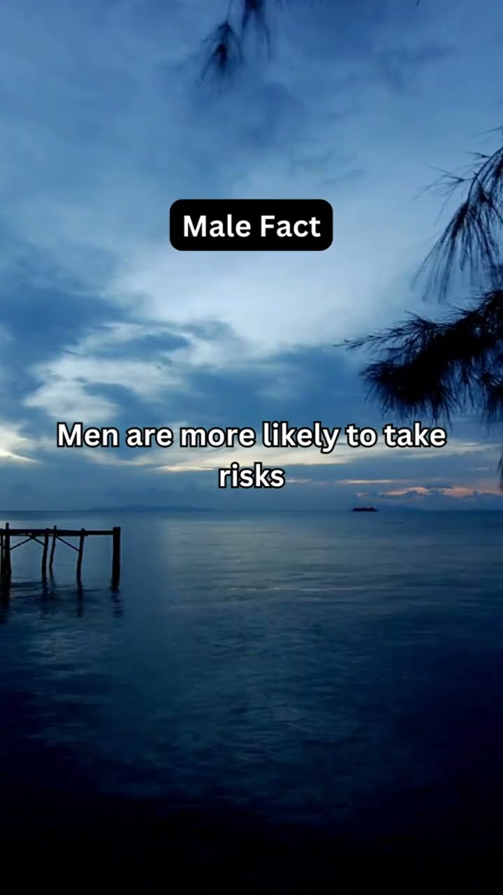 Why men take more risks - YouTube