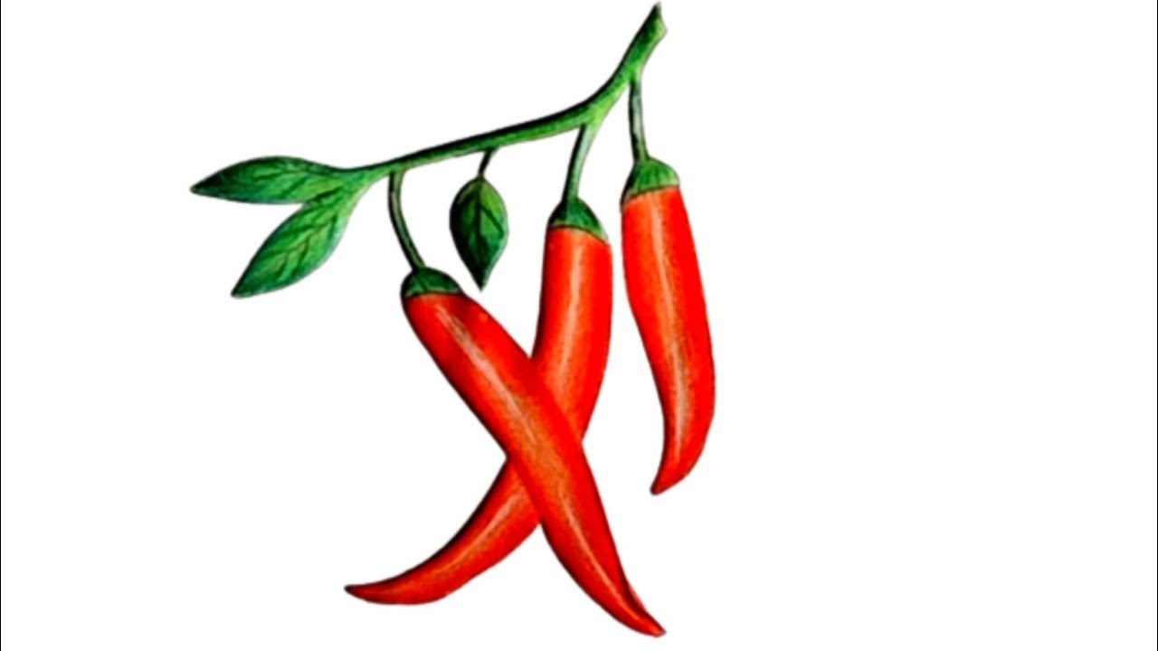 How to Draw Chilli Drawing Step By Step pencil colour - YouTube