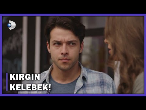 Kelebek, Su'ya Çok Kırıldı! - Bodrum Masalı 34. Bölüm