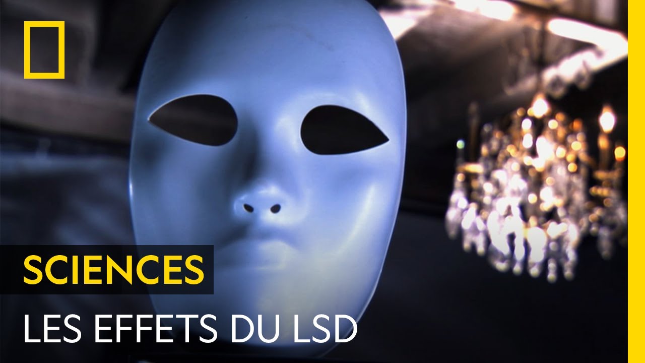 Quels sont les effets des drogues psychédéliques ? - YouTube