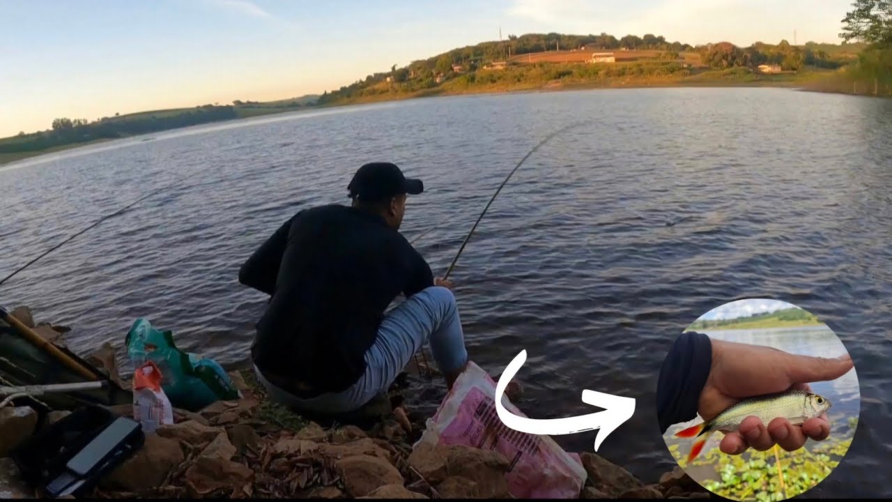 PESCANDO OS LAMBARI DO RIO MACHADO - Só Bitelo - YouTube