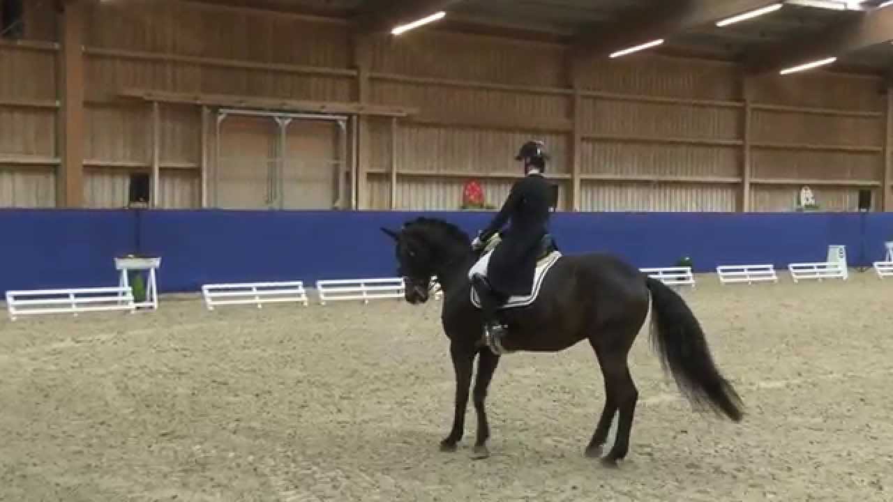 3 Laura Rohr Rousseau 44 - www-equideo.tv - YouTube
