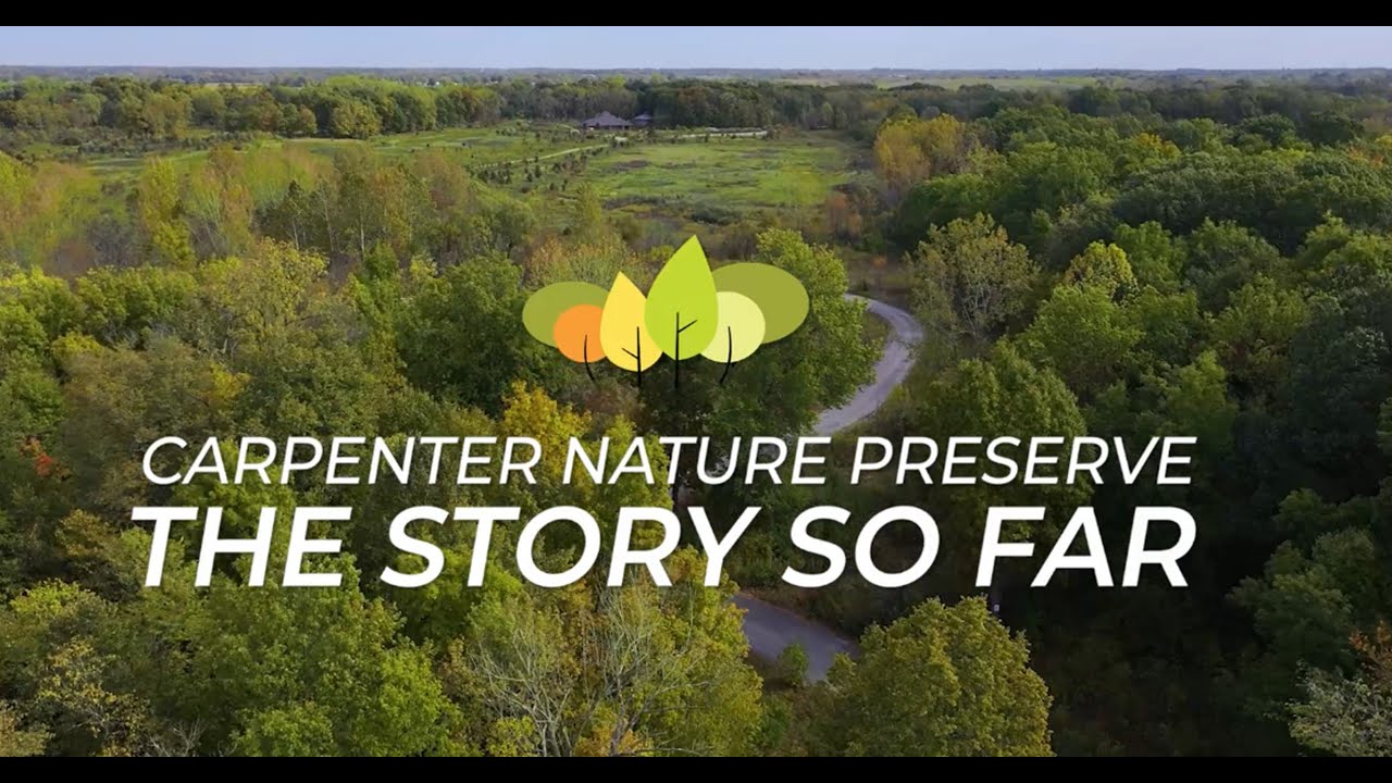 The Carpenter Nature Preserve (The Story So Far) - YouTube