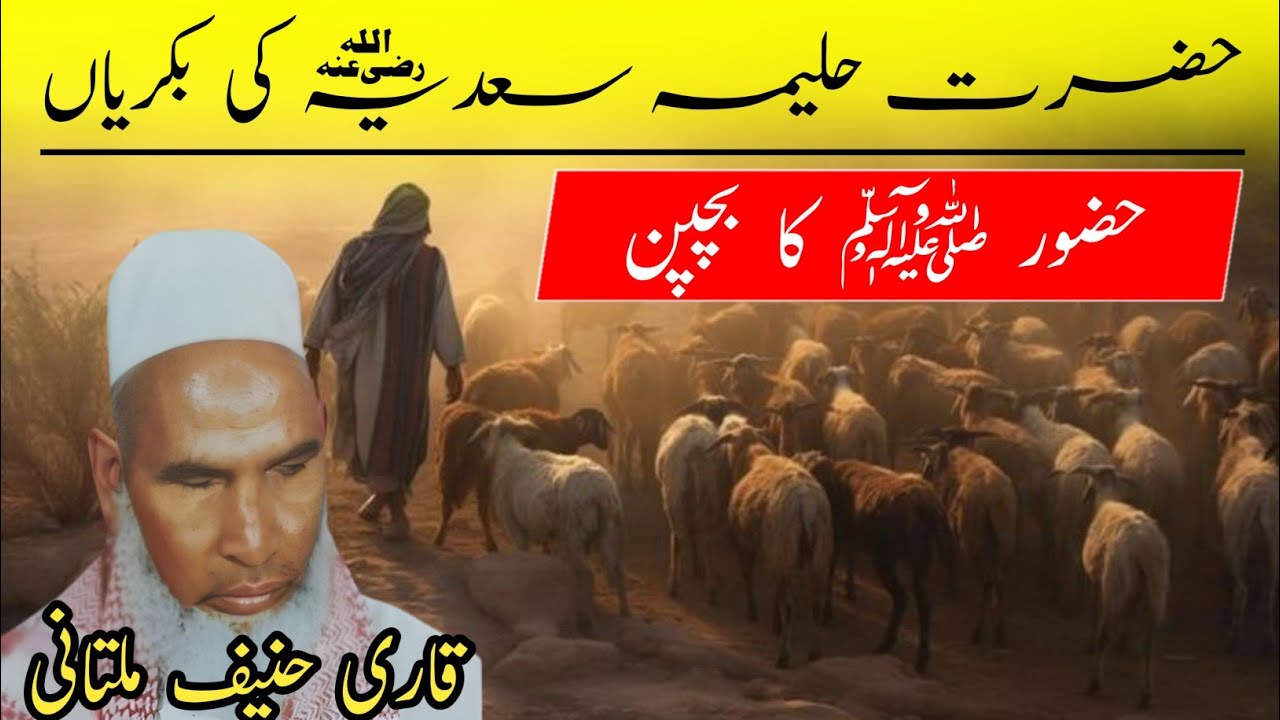 Hazrat Haleema sadia ki bakriyan | qari haneef multani | qari hanif ...