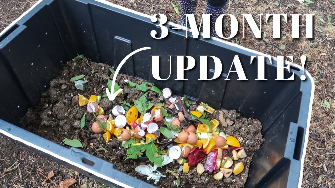 My First Compost Bin | 3-Month Compost Bin Update - YouTube