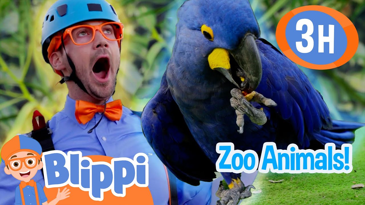 Animals, Pets and Zoo Trip | Blippi and Meekah Best Friend Adventures ...