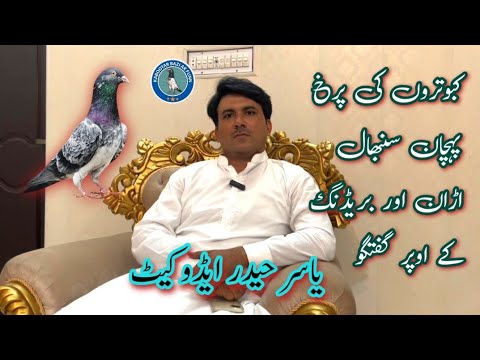 Yasir Haider Advocate - YouTube