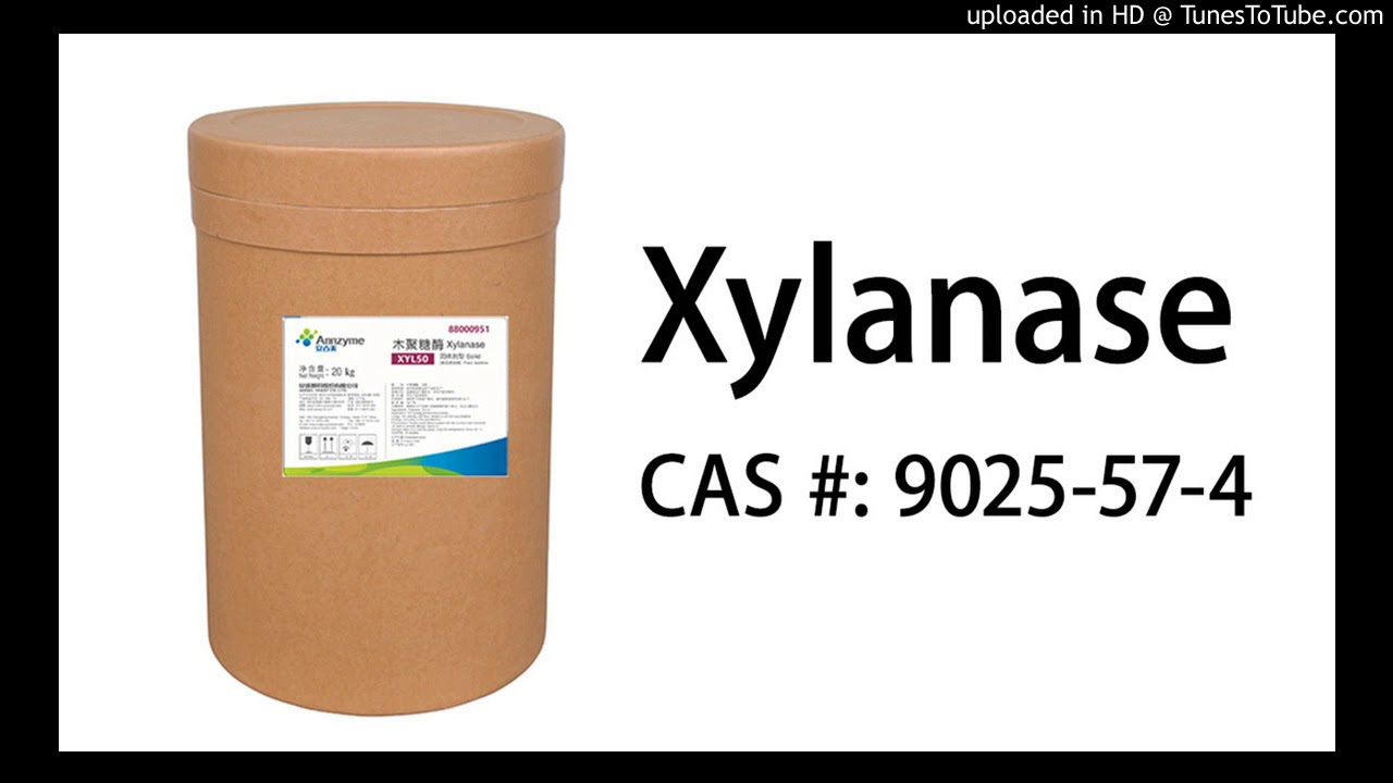 Xylanase Enzyme Manufacturers & Suppliers CAS 9025-57-4 - YouTube