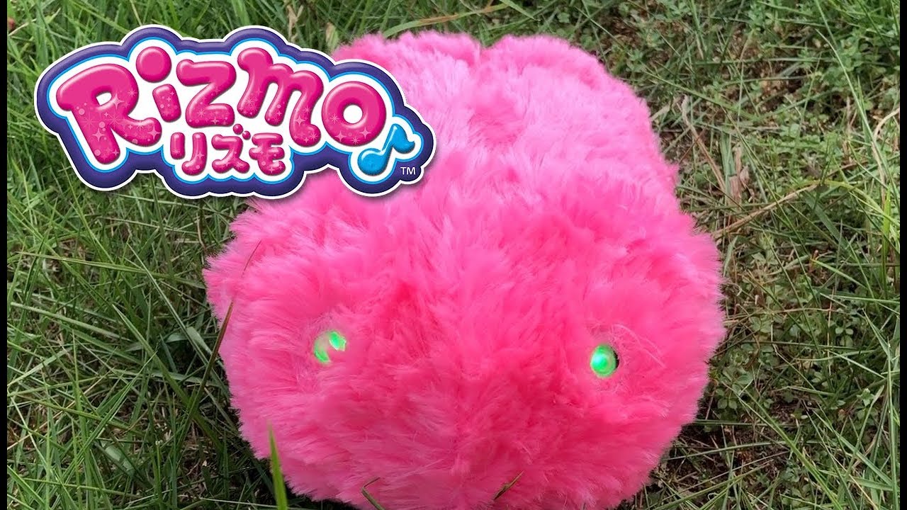 本当に進化するおもちゃ！！リズモをゼロワンが育ててみたよ！surprise toy「Rizmo」 - YouTube