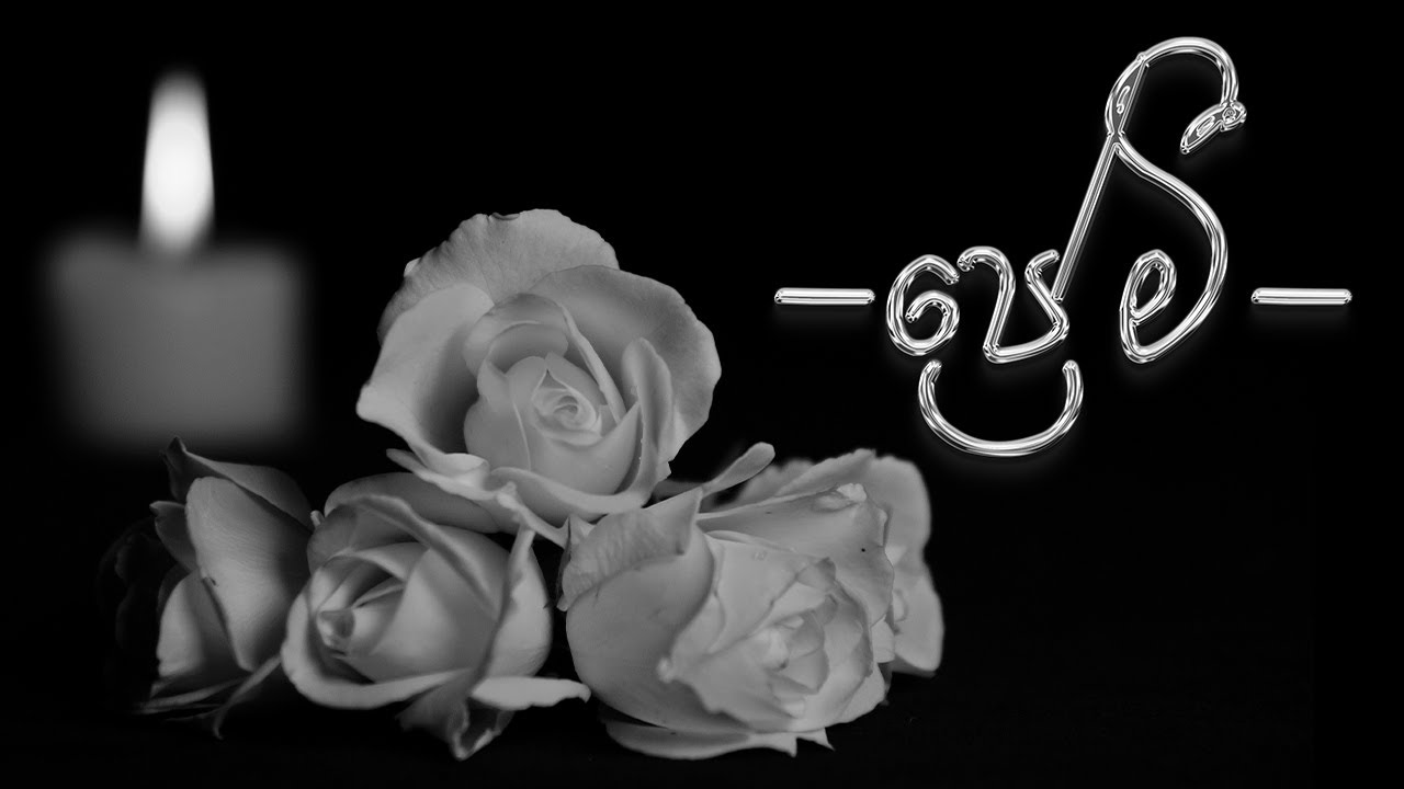 Premi (ප්‍රේමී) Chamara Fernando ft Samila Romana Banneheka | Official ...