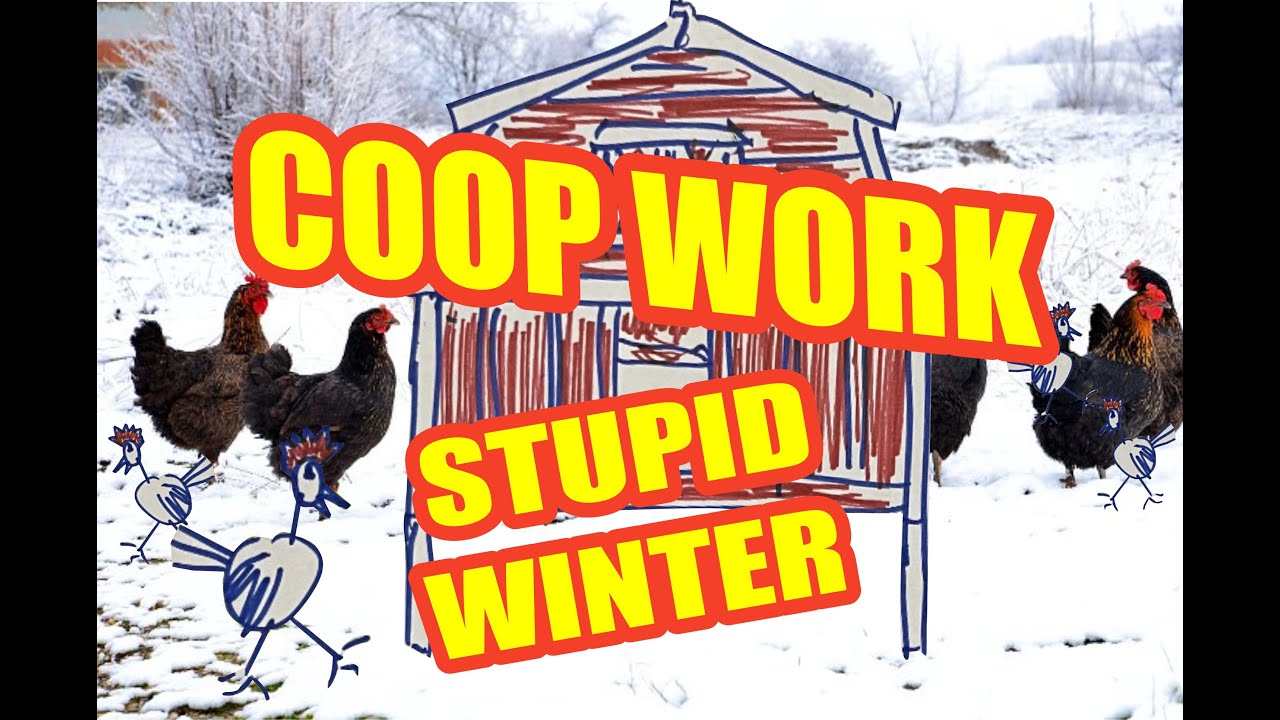 Winter Farm Work, Trying to finish the new coop in winter cold and rain ...