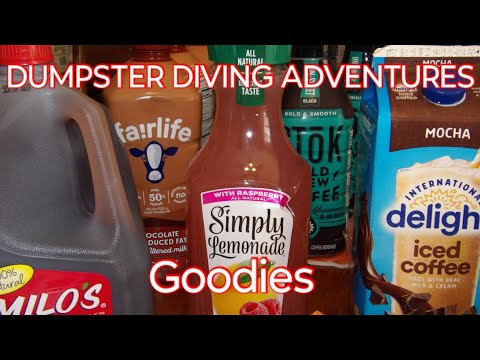 dumpster Diving Dollar General #dollar #dumpsterdiving #viral # ...