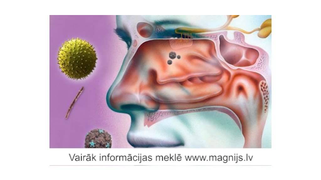 Sinustop ēterisko eļlu komplekss imunitātes stiprināšanai! - YouTube