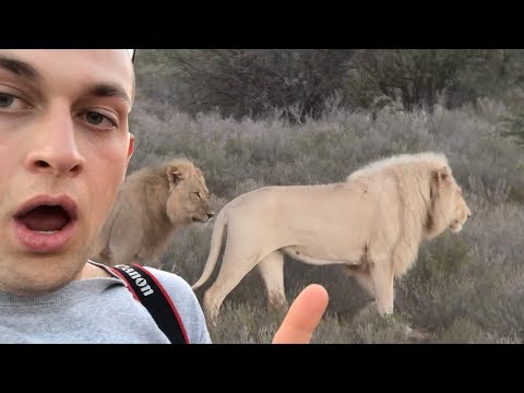 I WENT ON A SAFARI IN AFRICA AND STOOD FEET AWAY FROM A CHEETAH | Chris Klemens
