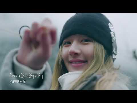 Zhao Lusi's new song \
