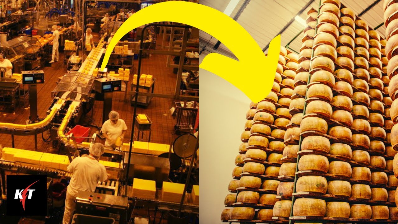 This Is How Cheese Is Made| Satisfying Cheese Machines - YouTube Music